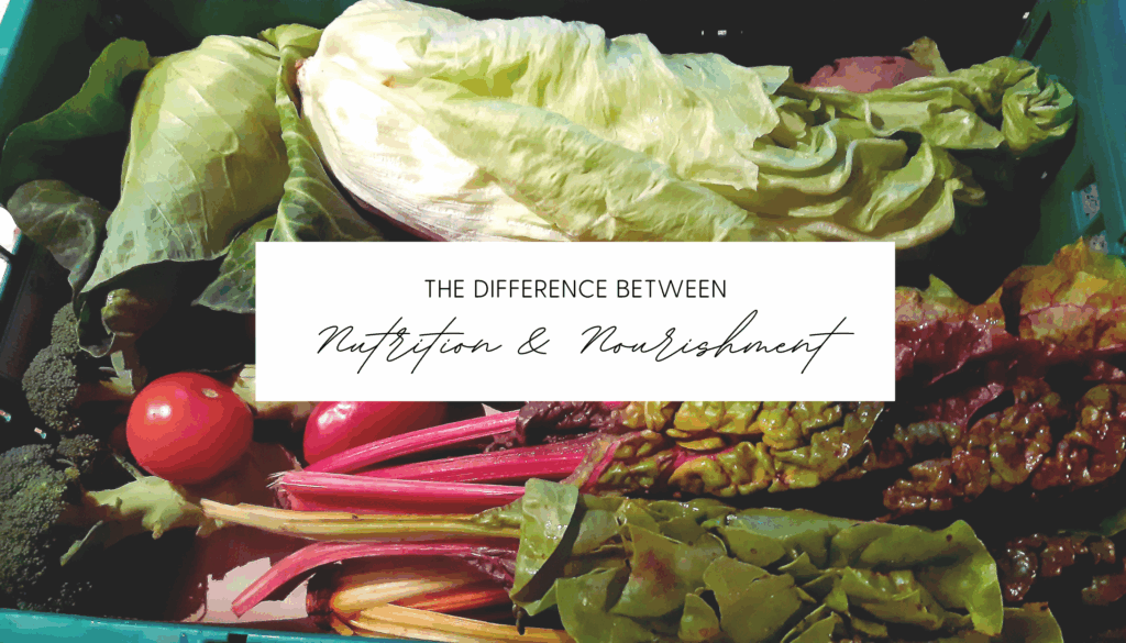 The Difference Between Nutrition and Nourishment - Sierra Sol Wellness